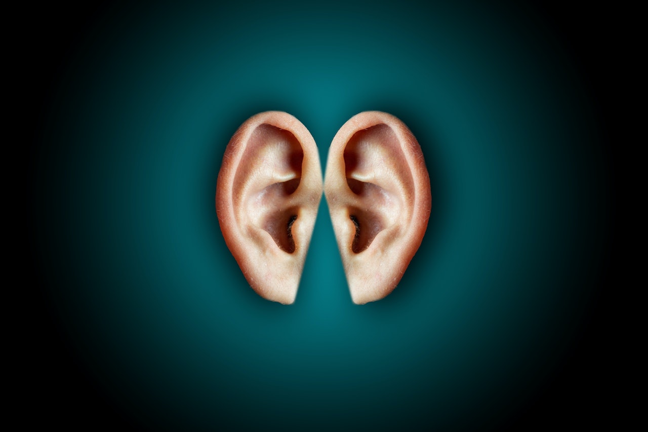 Ce que tout le monde devrait savoir sur ses oreilles - Show Devant